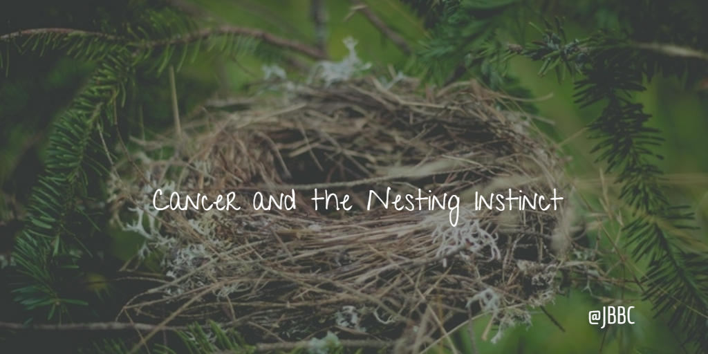 Cancer and the nesting instinct | Journeying Beyond Breast Cancer